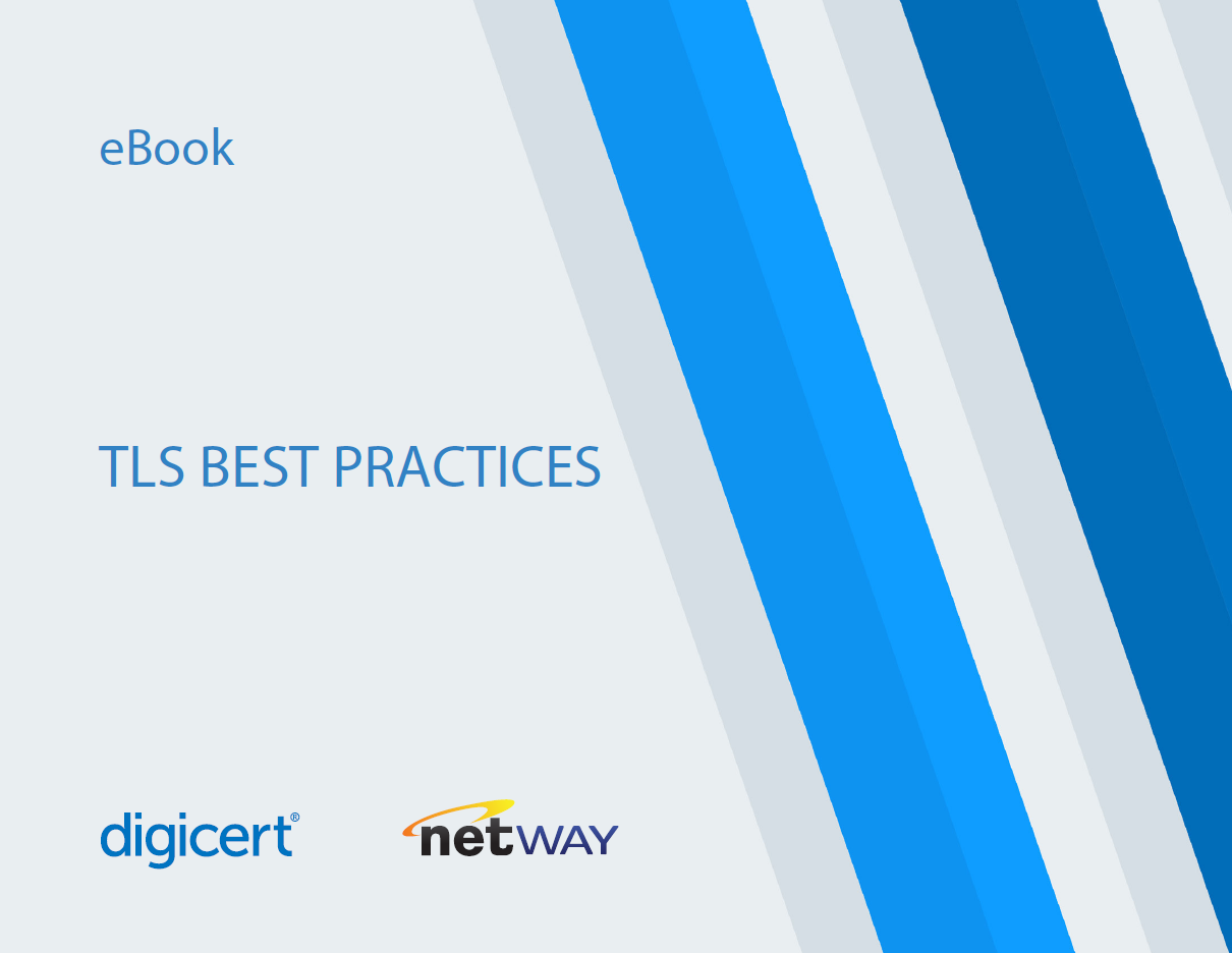 มาใหม่ FREE DOWNLOAD จาก DigiCert เรื่อง TLS Best Practice